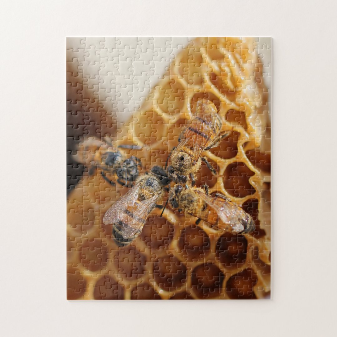 Texas Honeybees | Honeycomb Hive Jigsaw Puzzle | Zazzle