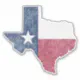 Texas Lone Star Vintage Austin Dallas Houston Sticker | Zazzle