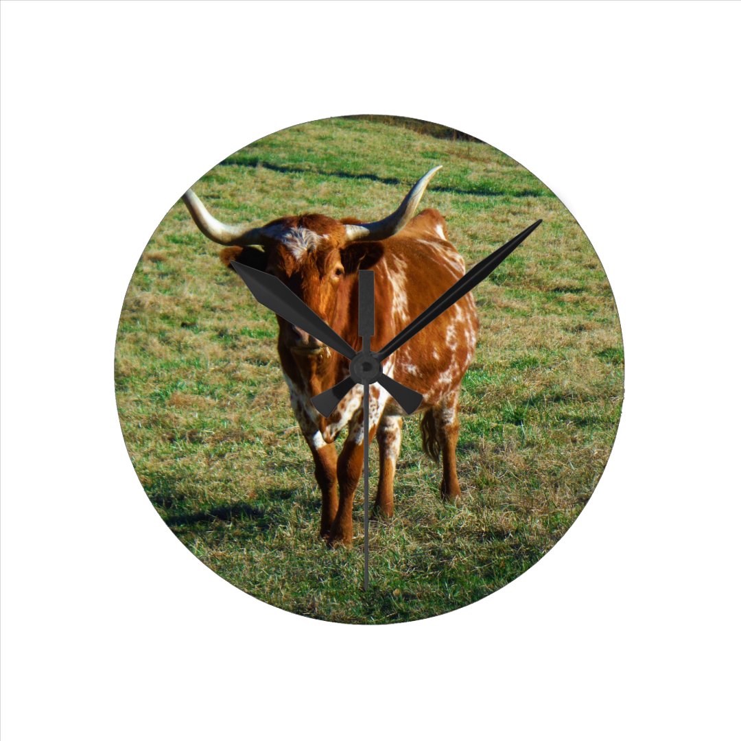 Texas Longhorn Cattle Cow Photo Rustic Round Clock | Zazzle
