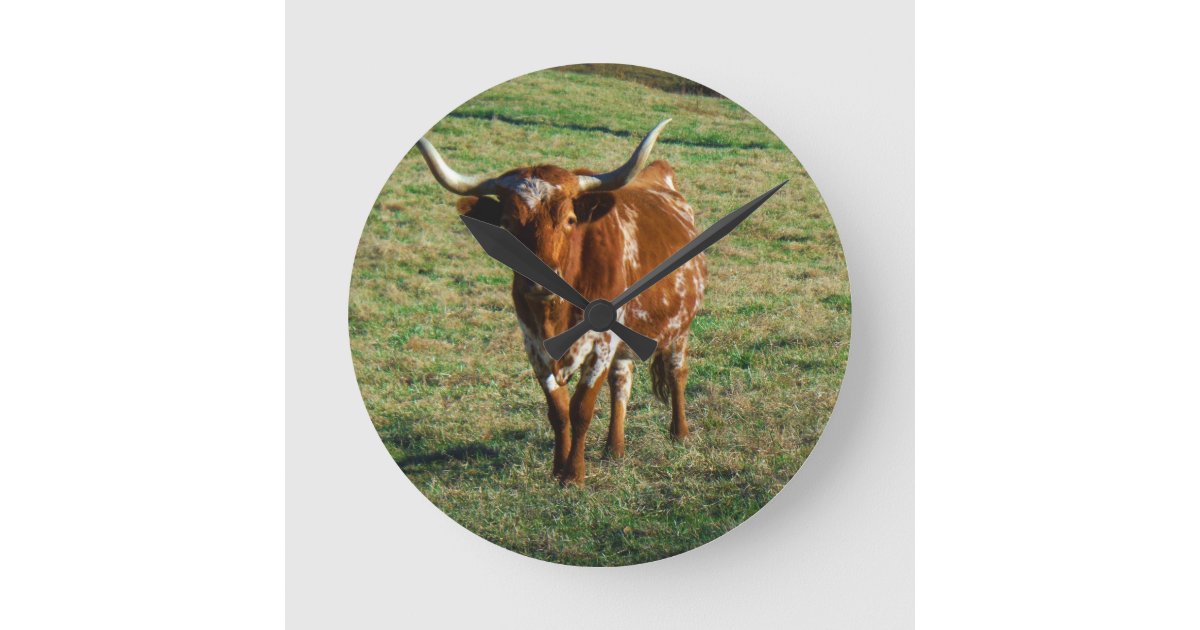 Texas Longhorn Cattle Cow Photo Rustic Round Clock | Zazzle