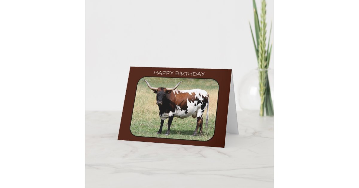 Texas Longhorn Cow Happy Birthday Card | Zazzle