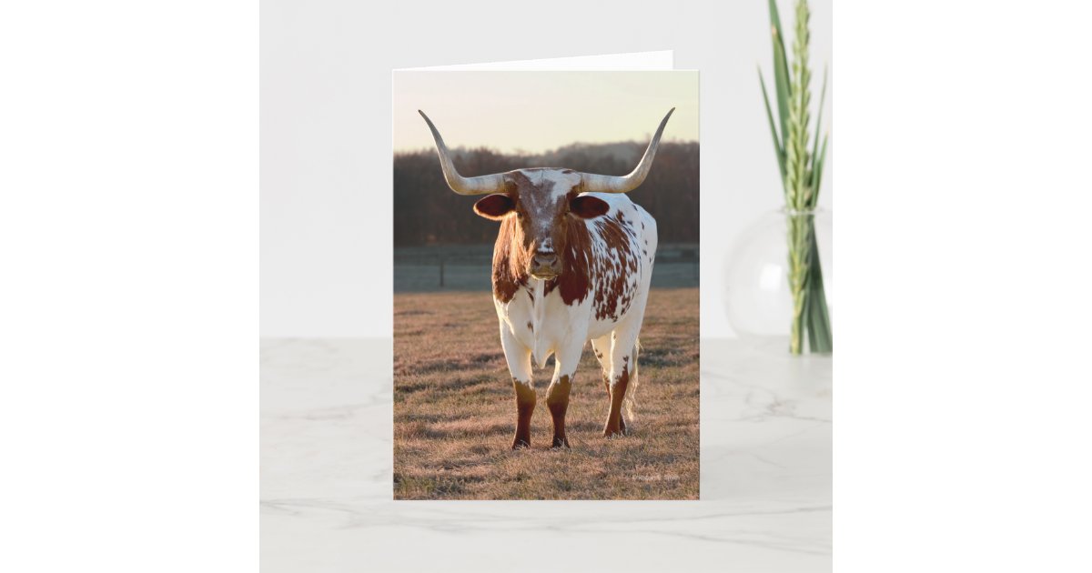 Texas Longhorn Note Card | Zazzle