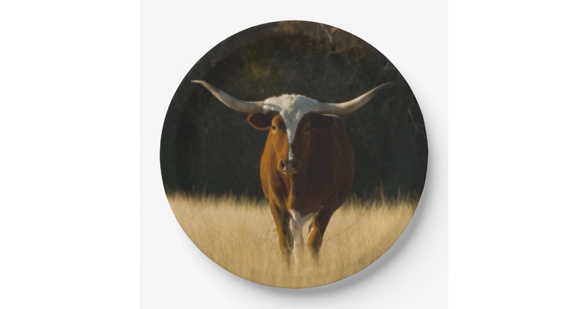 Texas Longhorn Paper Plates | Zazzle