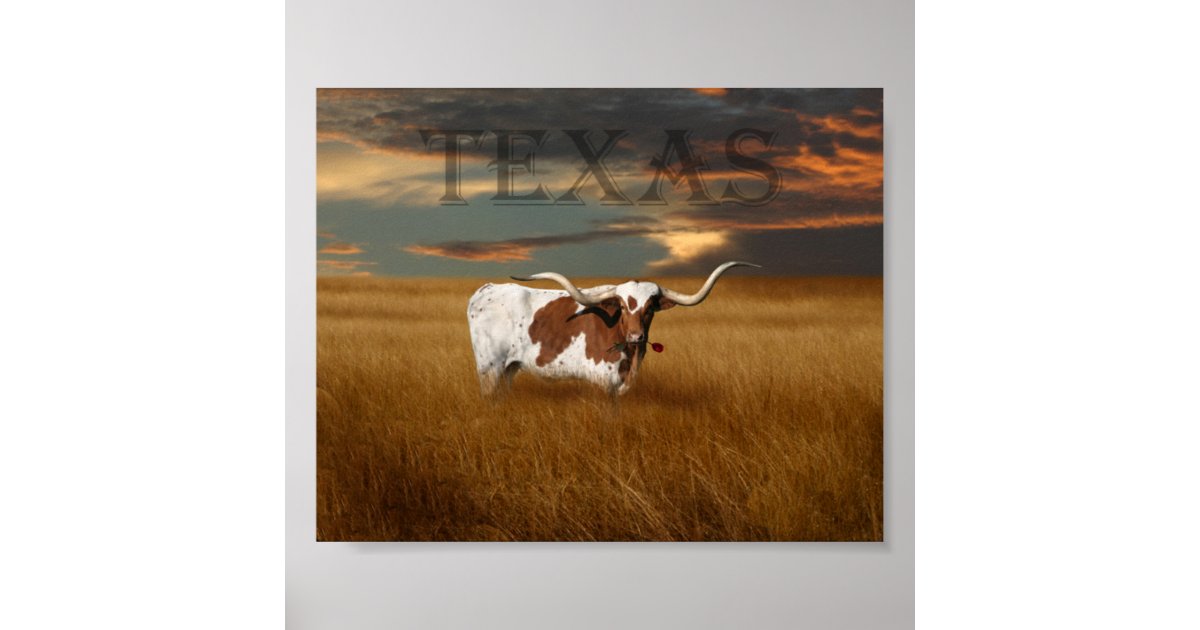 Texas Longhorn Poster | Zazzle