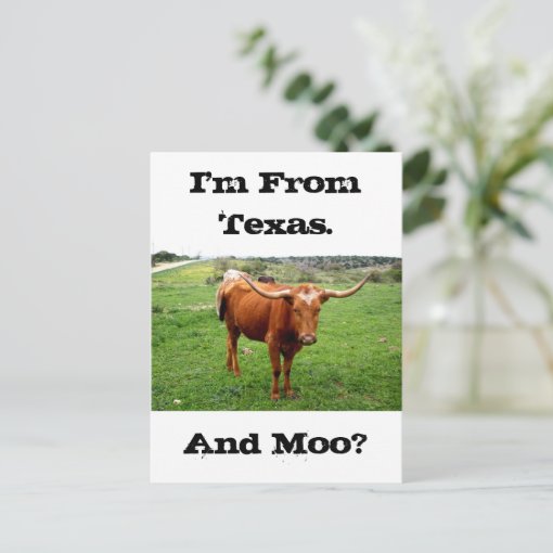 Texas Longhorn With Funny Texas Saying Postcard | Zazzle