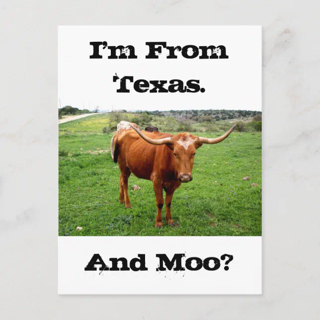 Texas Longhorn With Funny Texas Saying Postcard | Zazzle