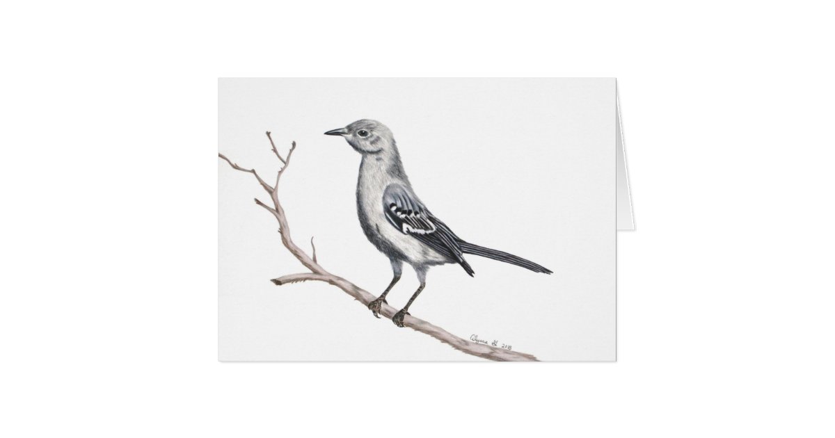 Texas Mockingbird Inspirational Small Card | Zazzle