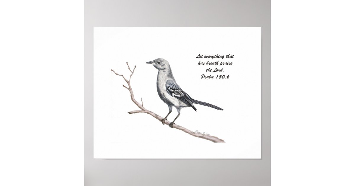 Texas Mockingbird Print | Zazzle