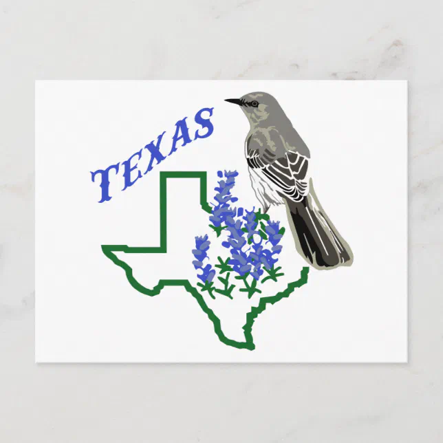 Texas Postcard | Zazzle