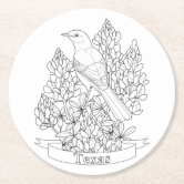 texas state bird coloring page