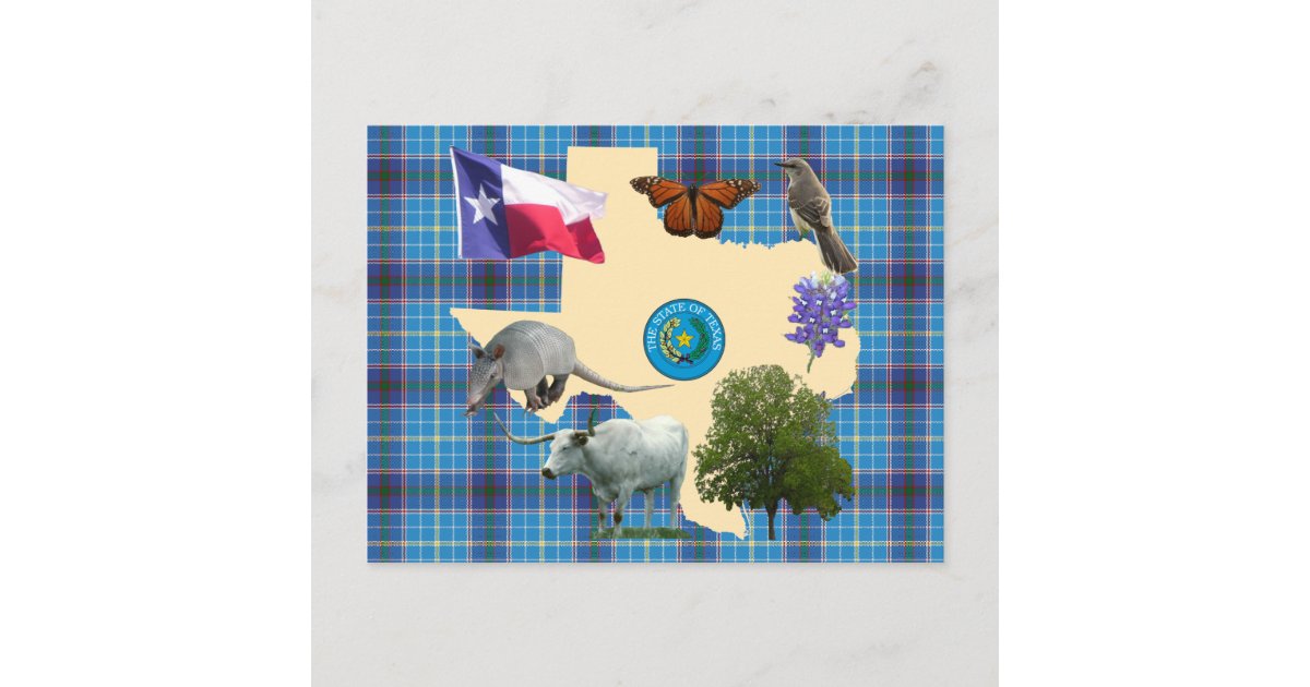 Texas State Symbols Postcard | Zazzle