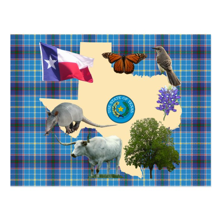Texas State Symbols Postcard | Zazzle.com