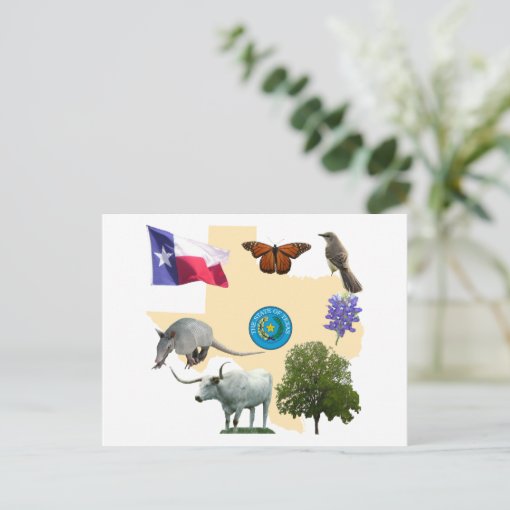 Texas State Symbols Postcard | Zazzle