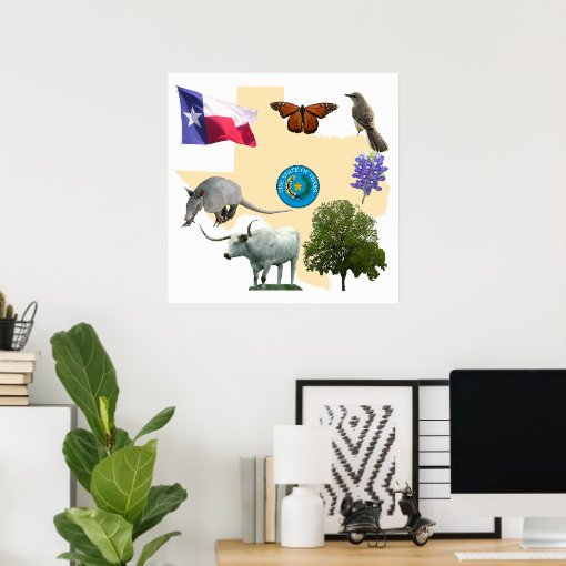 Texas State Symbols Poster | Zazzle