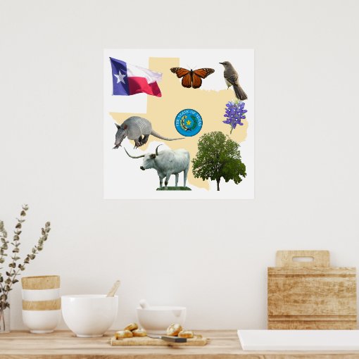 Texas State Symbols Poster | Zazzle