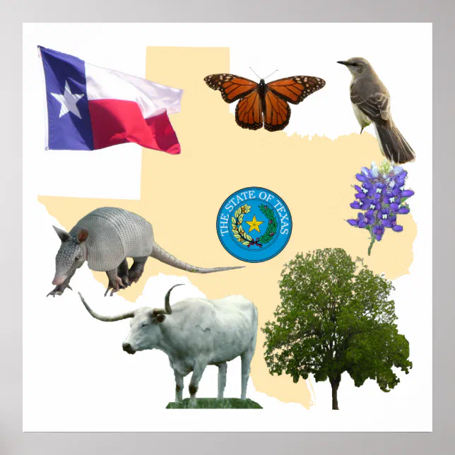 Texas State Symbols Poster | Zazzle