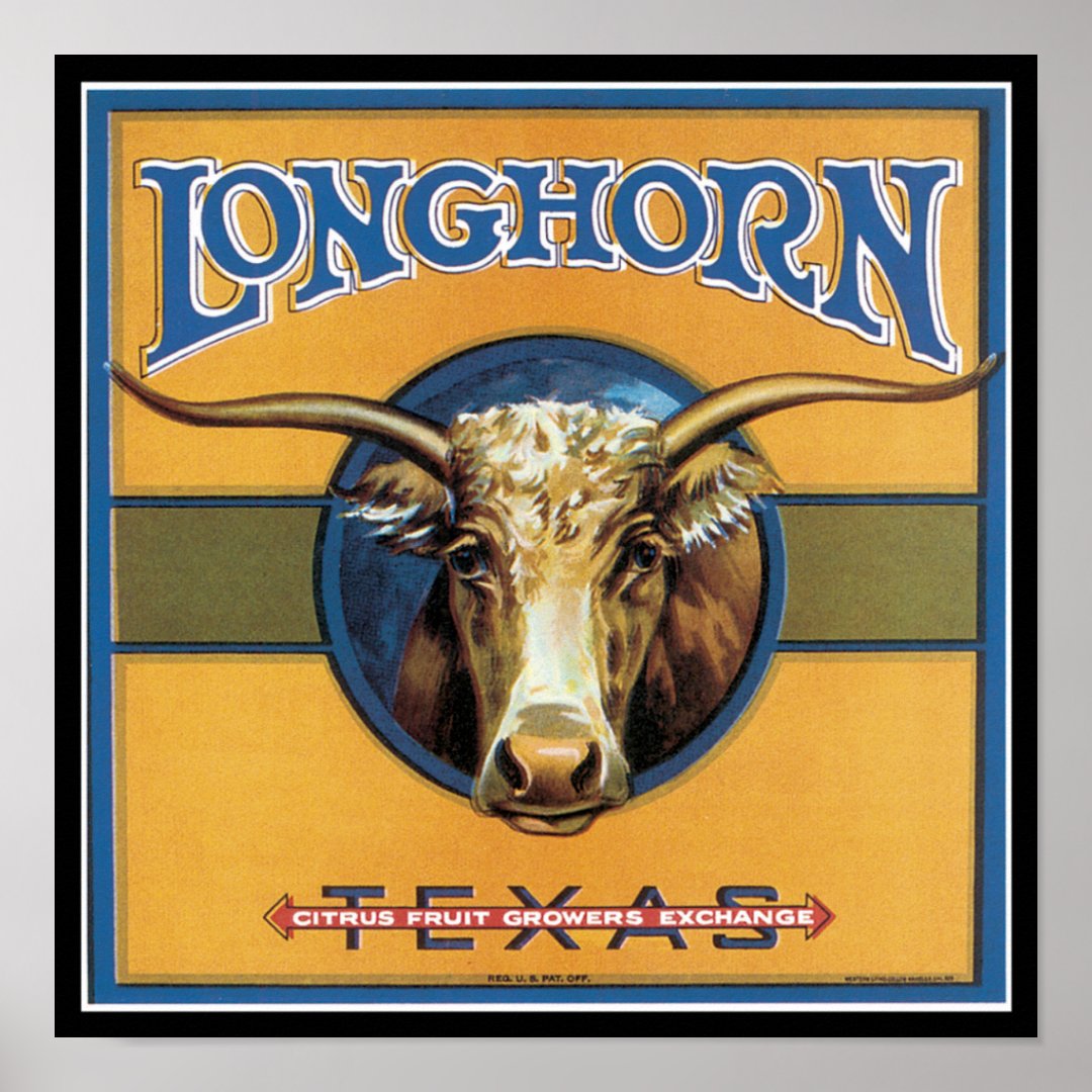 Texas Steer Longhorn Poster | Zazzle
