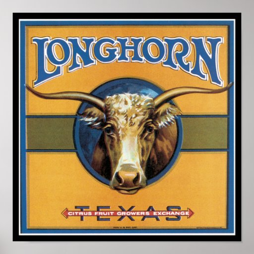Texas Steer Longhorn Poster | Zazzle