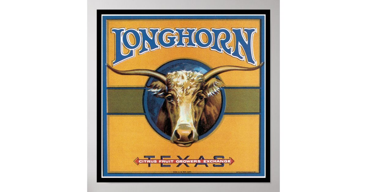 Texas Steer Longhorn Poster | Zazzle