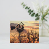 Texas windmill sunset postcard | Zazzle