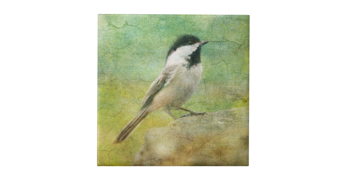 Textured Chickadee Ceramic Tile | Zazzle