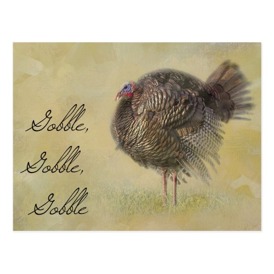 Textured Turkey Postcard | Zazzle.com