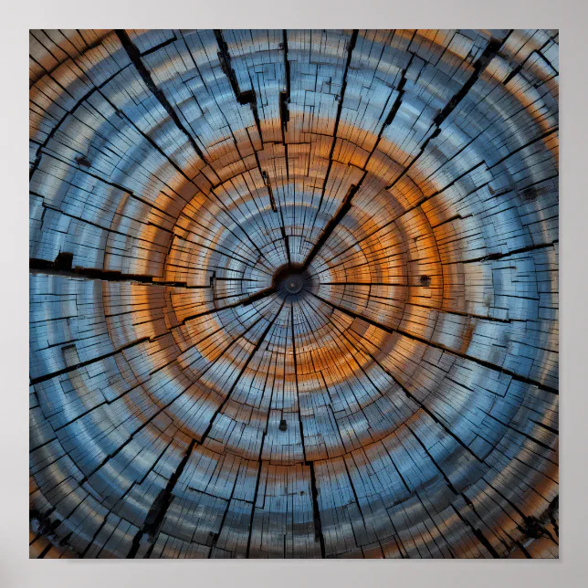 Textured Wood Grain - Artistic Tree Ring Close-Up Poster | Zazzle