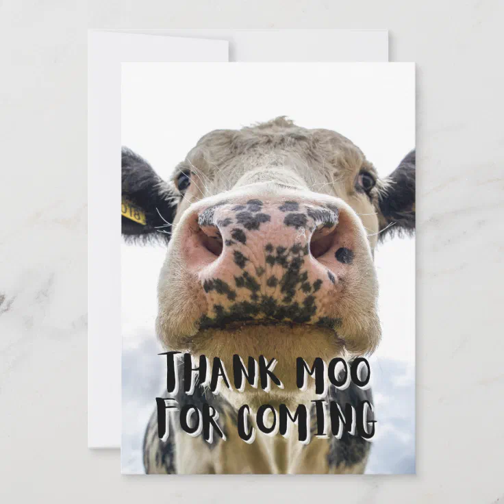 Thank Moo For Coming Cow Thank You Card | Zazzle