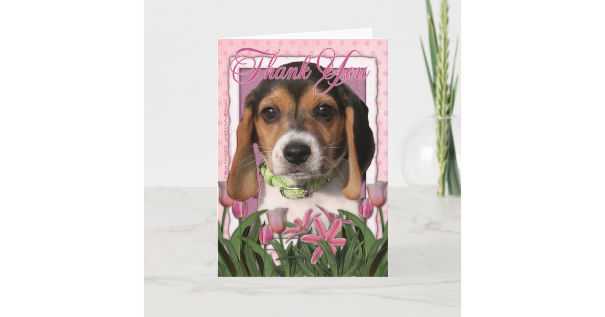 Thank You - Beagle Puppy Card | Zazzle