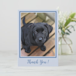 Thank You Black Lab Puppy - Blue Cute Labrador Dog | Zazzle