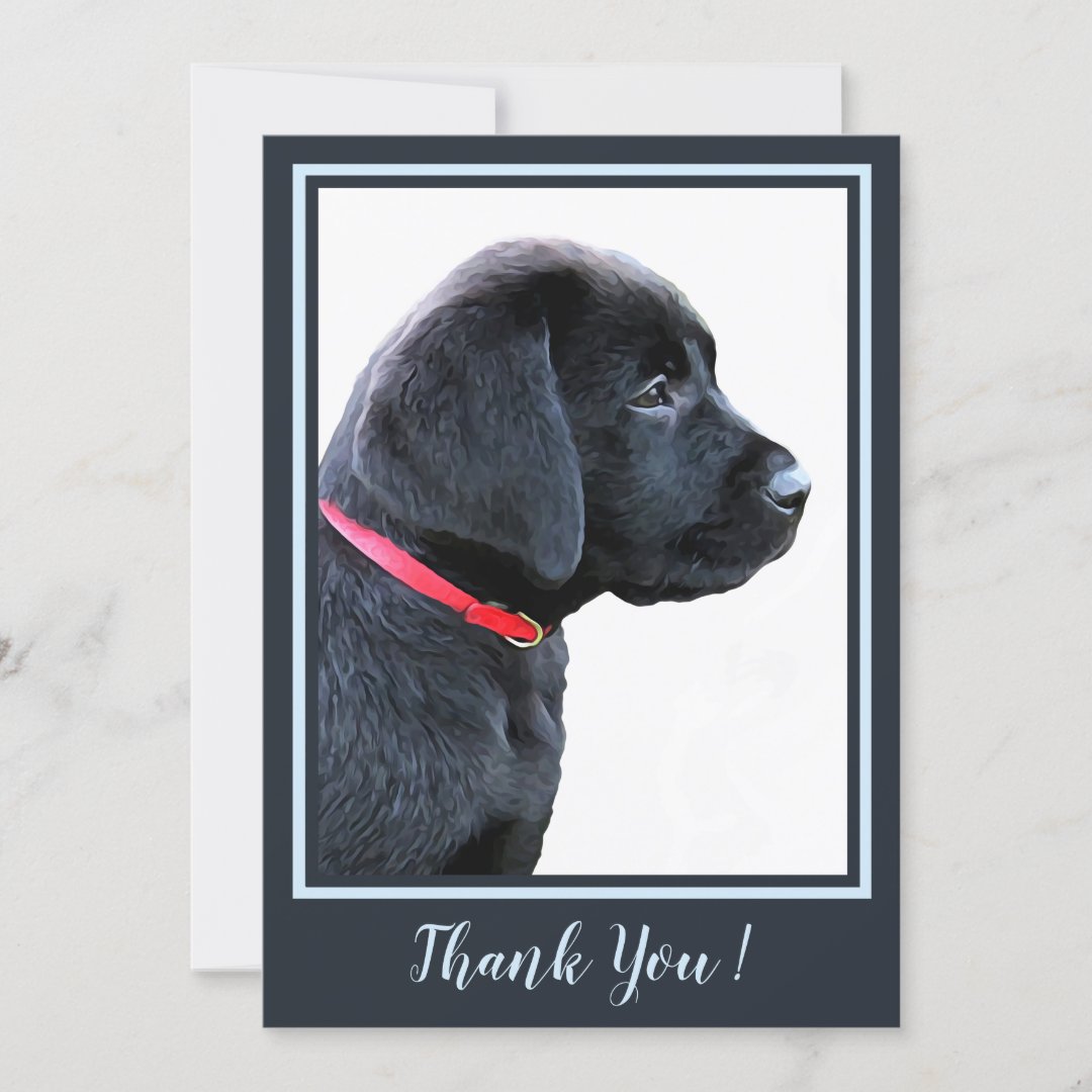 Thank You Black Labrador Puppy - Modern Cute Dog | Zazzle