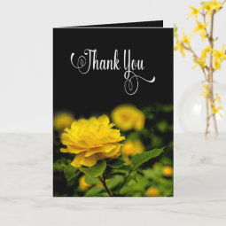 Thank You, Blank, Yellow Rose in Garden Card | Zazzle