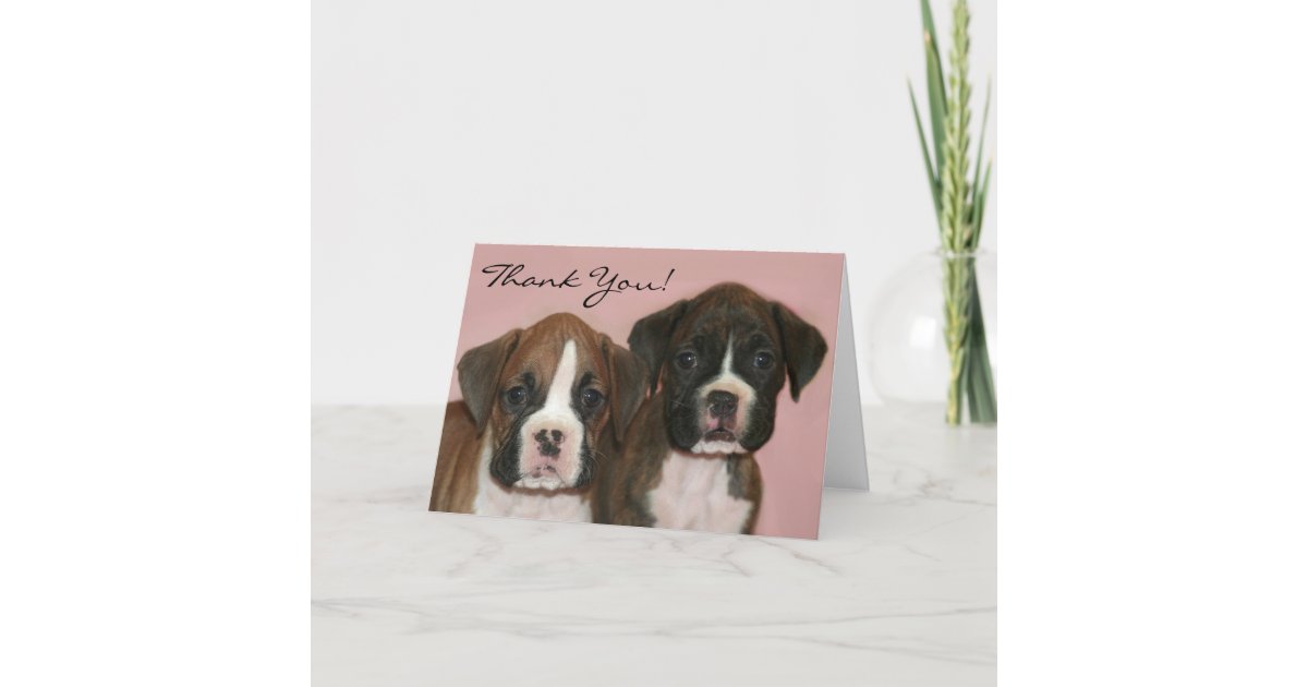 Thank you Boxer Puppies greeting card | Zazzle