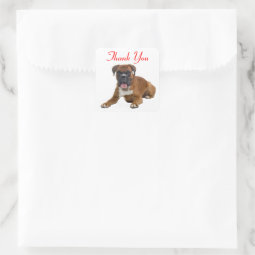 Thank You Boxer Puppy Dog Greeting Sticker | Zazzle