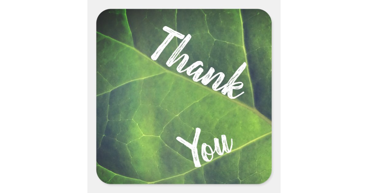 Thank You Bright Green Leaf Appreciation Square Sticker | Zazzle