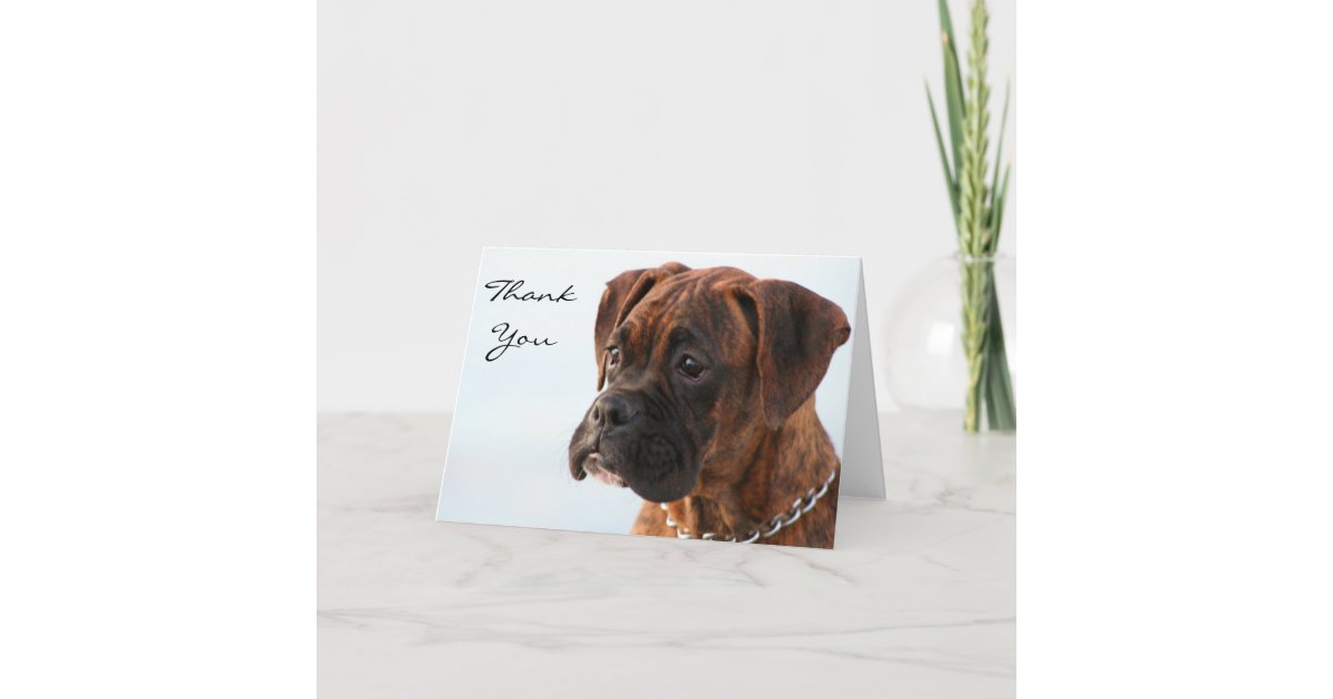 Thank You Brindle boxer puppy greeting card | Zazzle