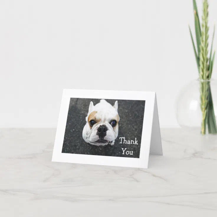 Thank You Bulldog Greeting Card - Kindness Verse | Zazzle