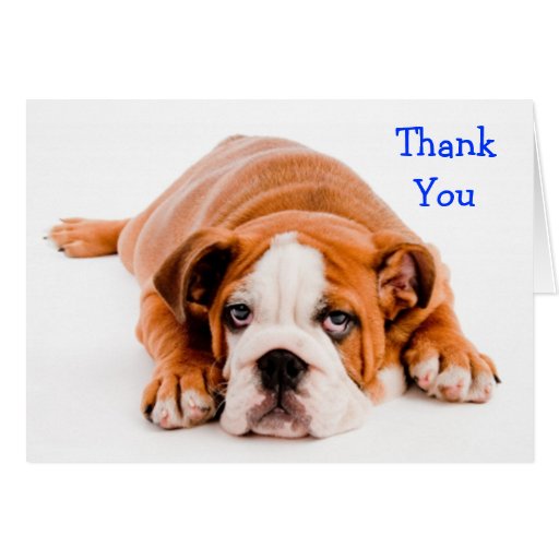 Thank You Bulldog Greeting Card - Kindness Verse | Zazzle