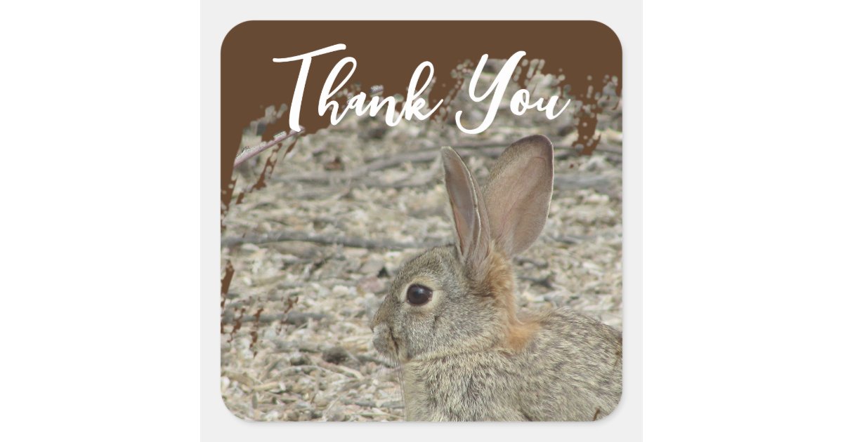 Thank You Bunny Photo Gender Neutral Appreciation Square Sticker | Zazzle