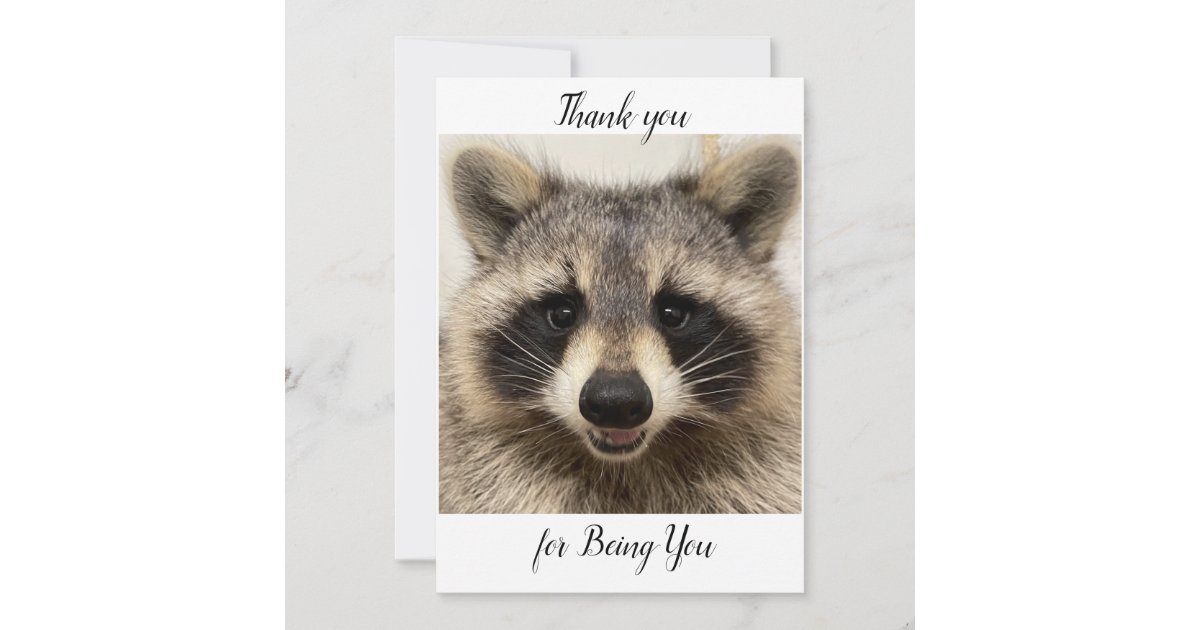 Thank you card featuring "Animal" the Raccoon. | Zazzle