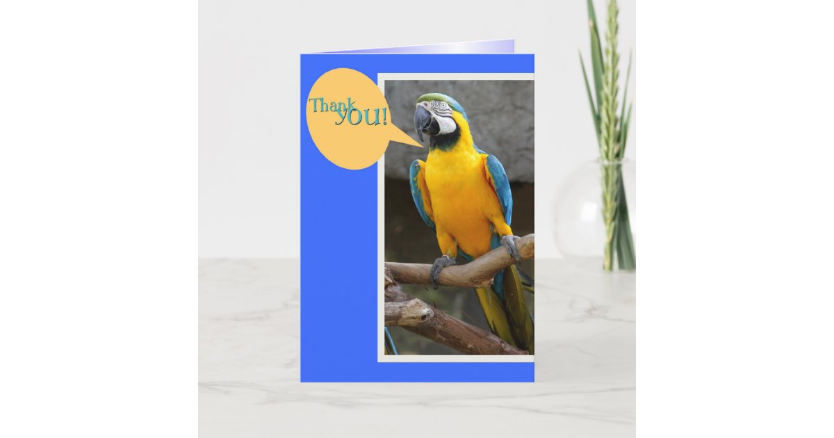 Thank you Card from Parrot | Zazzle