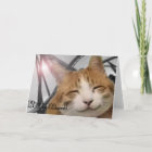 Thank You Card with Happy Cat | Zazzle.com