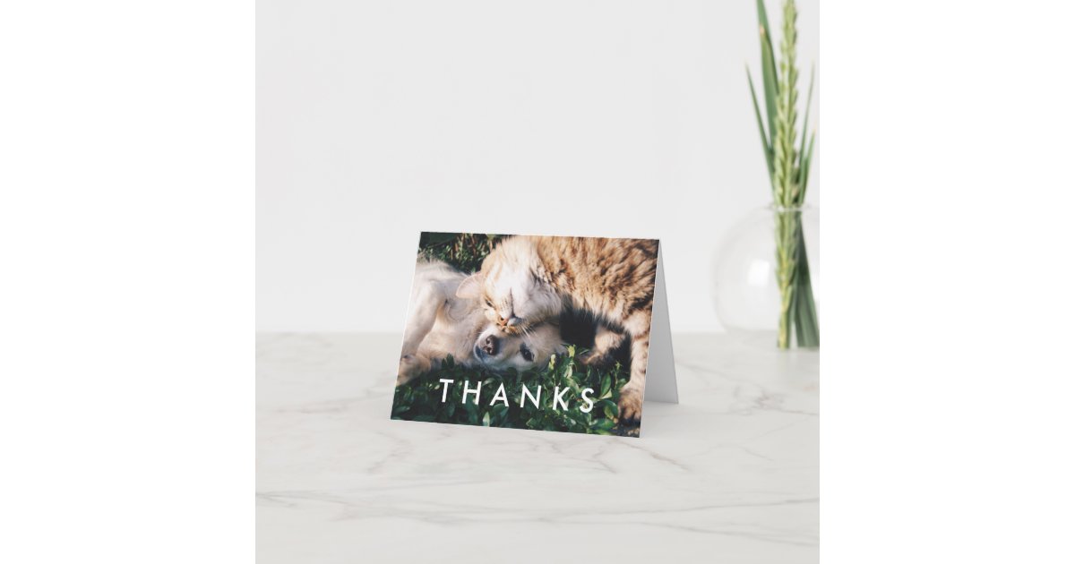 Thank You Card with Cat and Dog | Zazzle