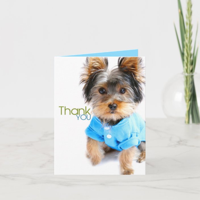 Thank You Card_Yorkie | Zazzle.com