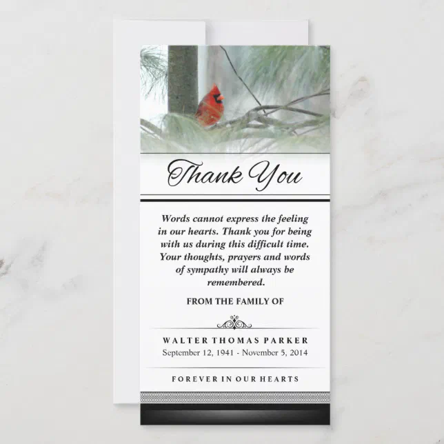 Thank You Cardinal Bird Words Cannot Express | Zazzle