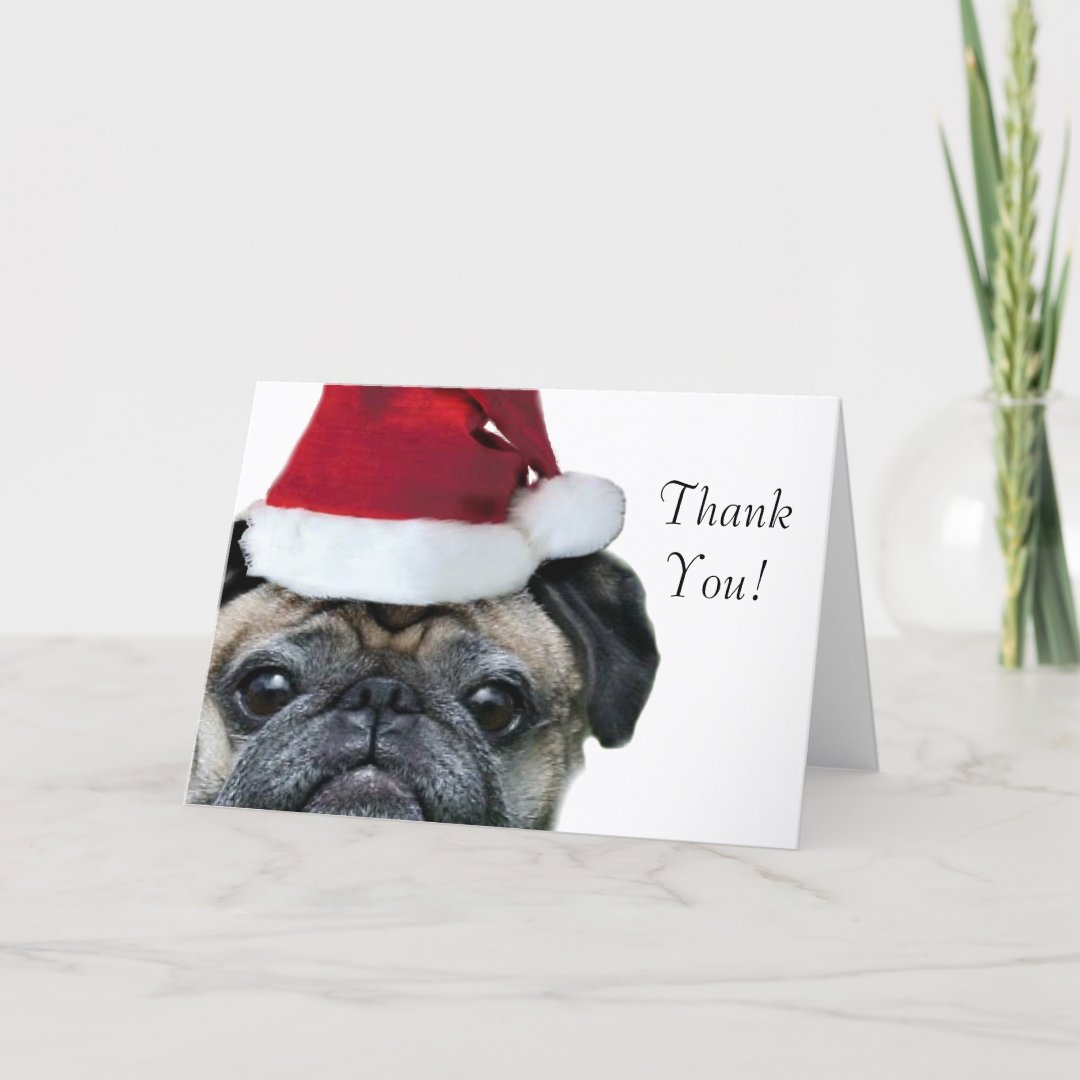 Thank You Christmas pug greeting card | Zazzle
