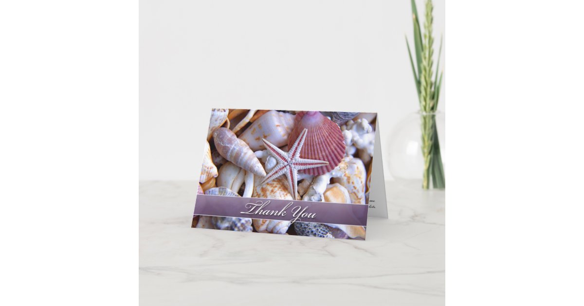 Thank You Clam Shells Card | Zazzle