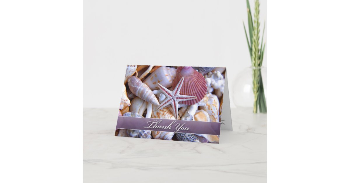 Thank You Clam Shells Card | Zazzle