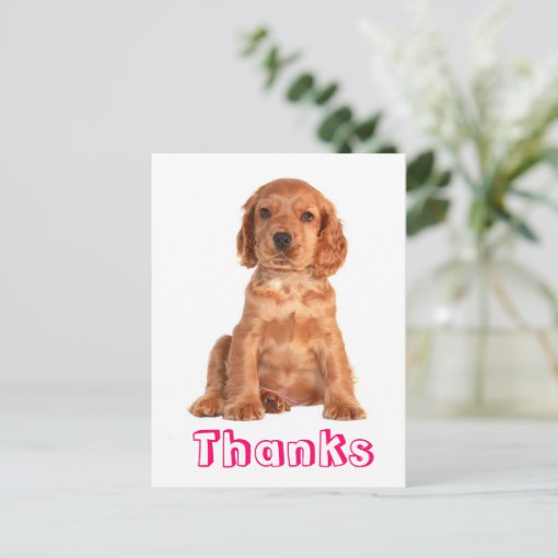 Thank You Cocker Spaniel Puppy Dog Postcard | Zazzle