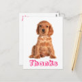 Thank You Cocker Spaniel Puppy Dog Postcard | Zazzle